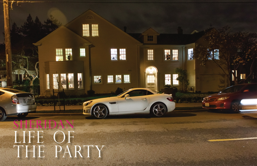 Life of the Party - Debbi DiMaggio – A Grateful Life!